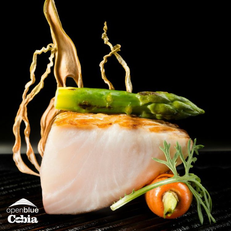 Grilled cobia provence - ASC International