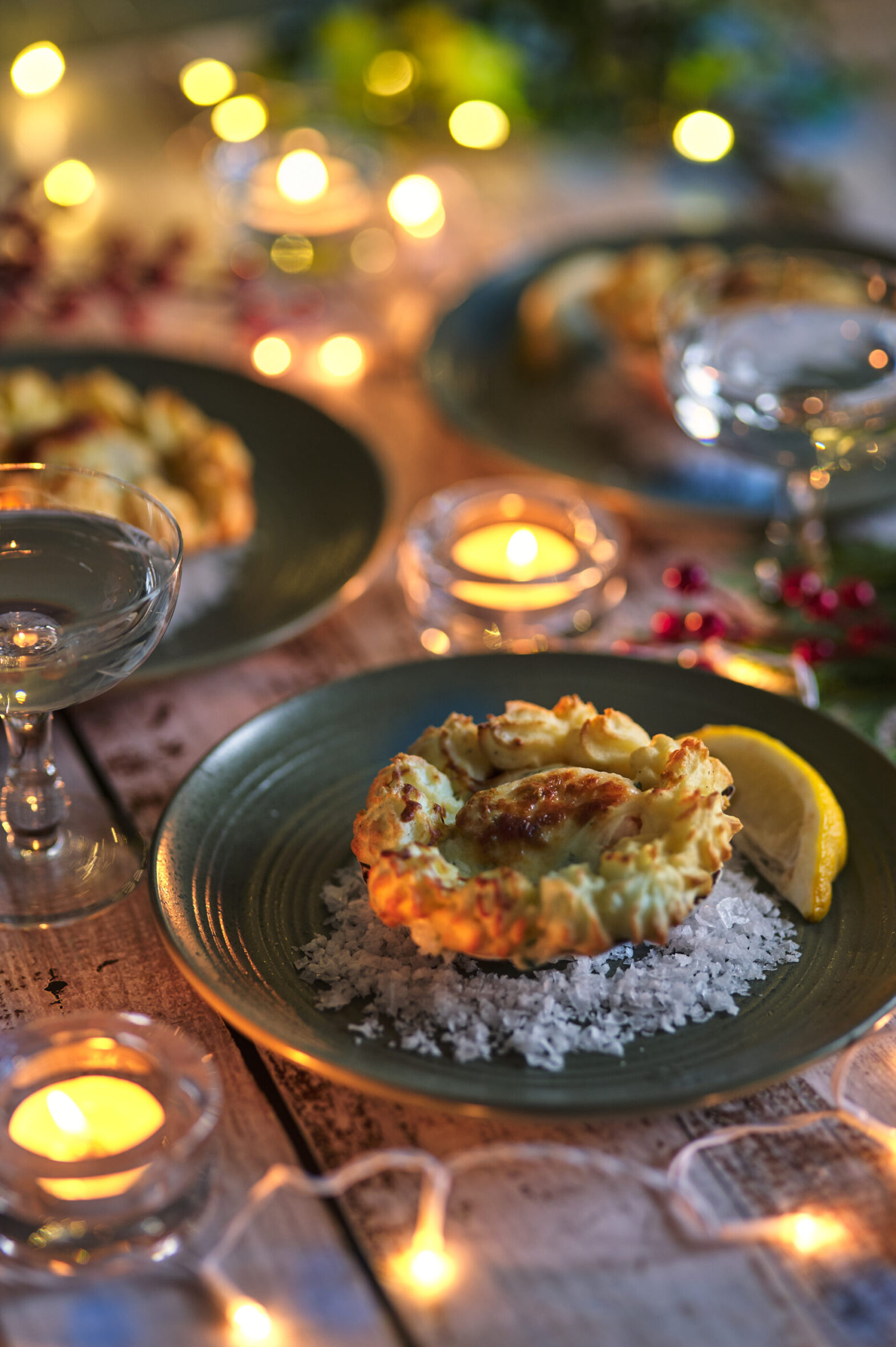 Seafood Shell (Coquilles de Fruits de Mer) - ASC International