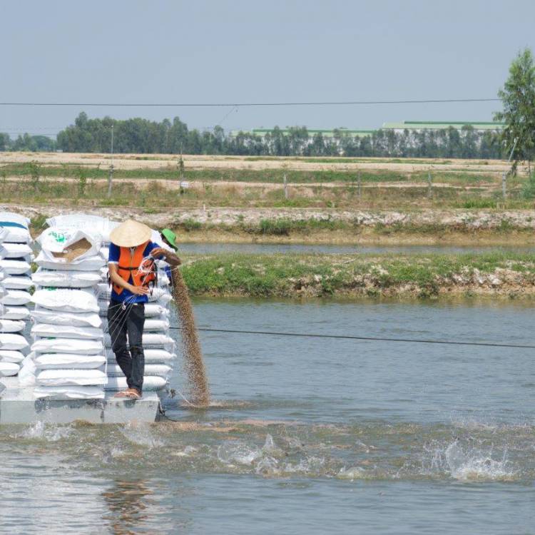 ASC Feed Standard: Consultation on Important Supporting Documents ...