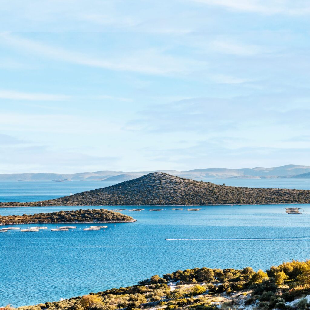 Our Impact - ASC North America