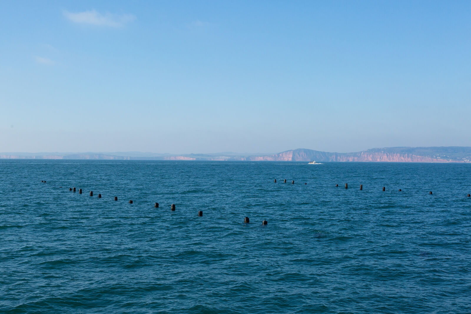 ASC基準 - ASC Japan